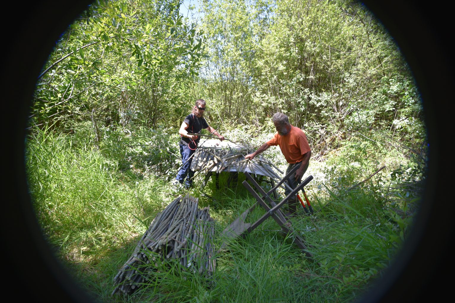 About - BogFoot : Ty Andersen: Pacific Northwest Ecology Expert & Naturist